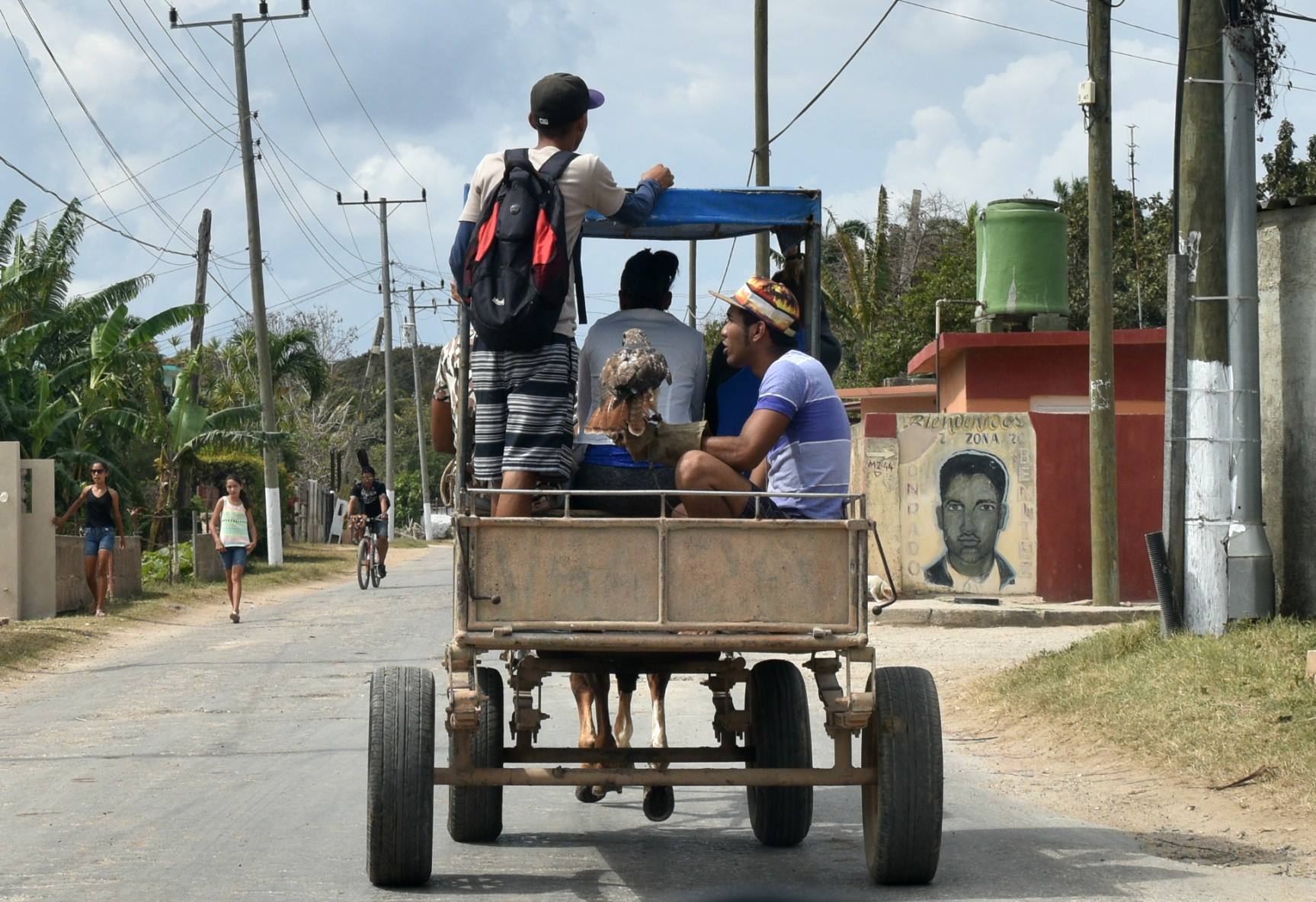 Profunda Crisis de Transporte Afecta a Más de la Mitad de las Rutas ...
