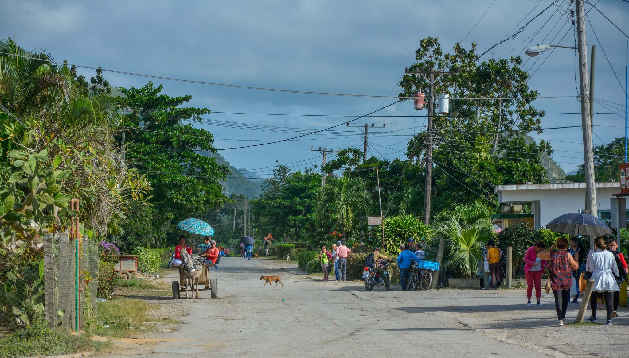 La crisis de transporte en Cuba se agrava por la escasez de combustible ...